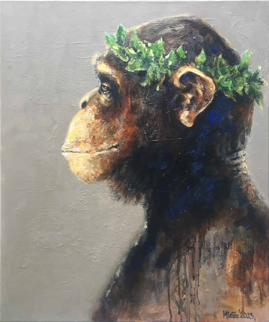 Mirek Antoniewicz | Galeria Sztuki Współczesnej V.A. Gallery